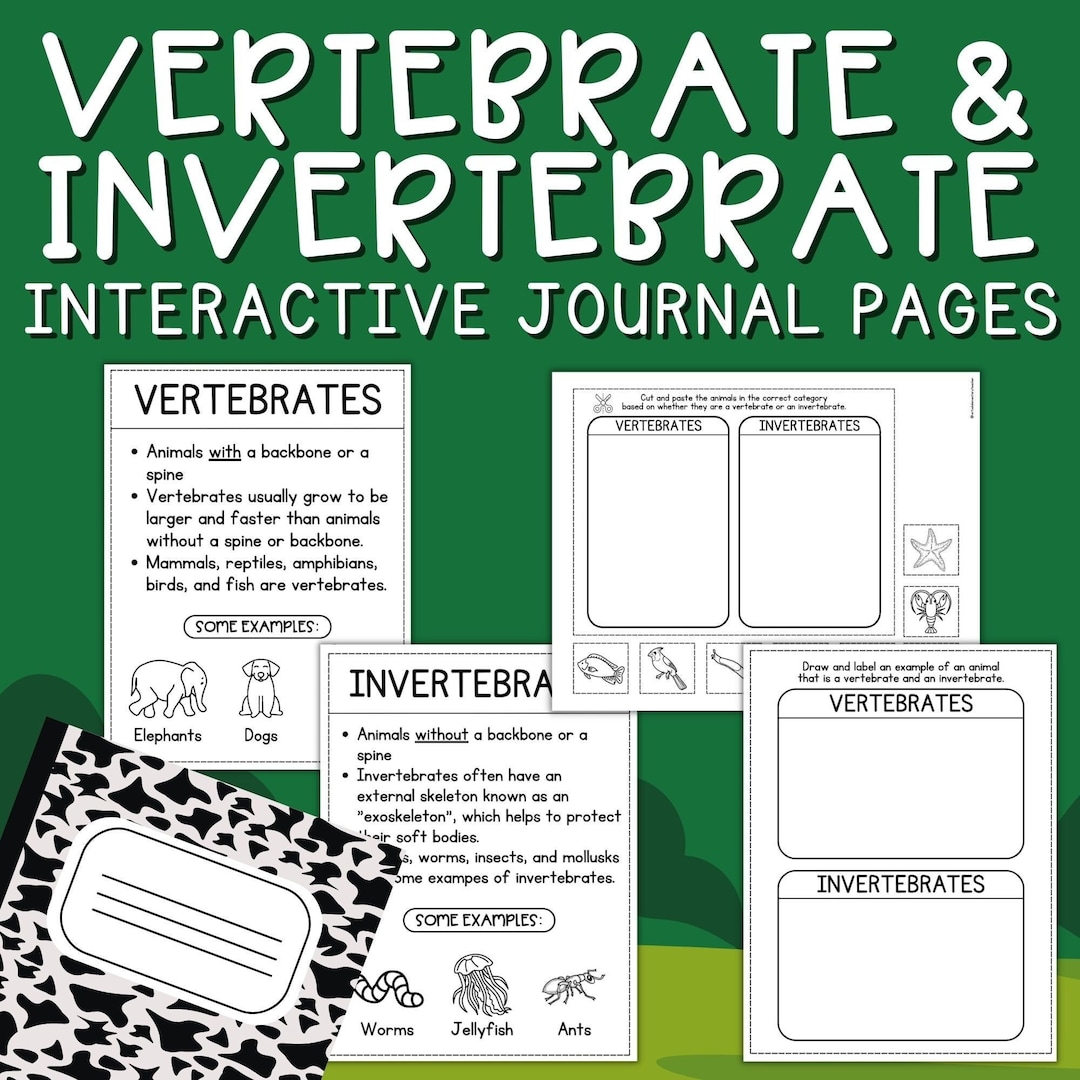 Vertebrate and Invertebrate Interactive Notebook Pages Animal ...