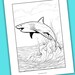 Ocean Animal Coloring Pages | 20 Sea Life Designs (digital Download) - Etsy