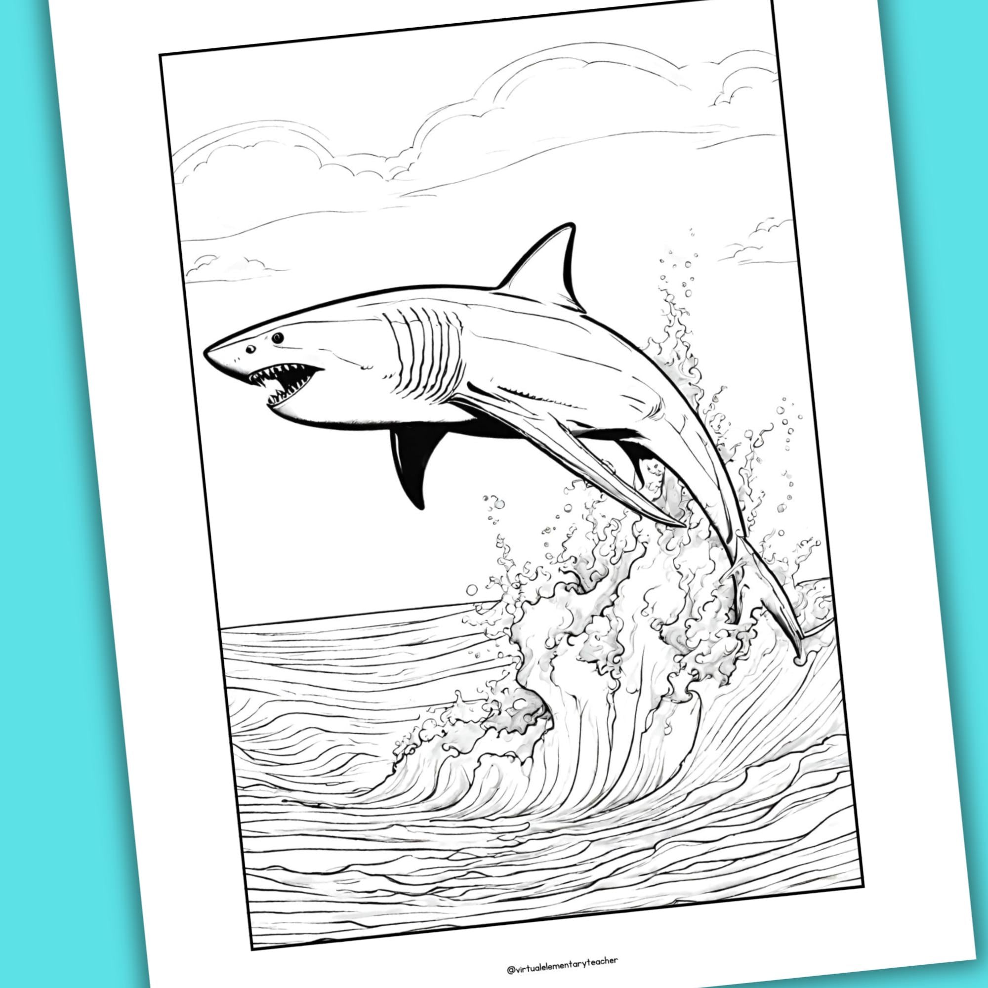 Ocean Coloring Pages Printable Ocean Animal Coloring Book Fun Sea Life ...