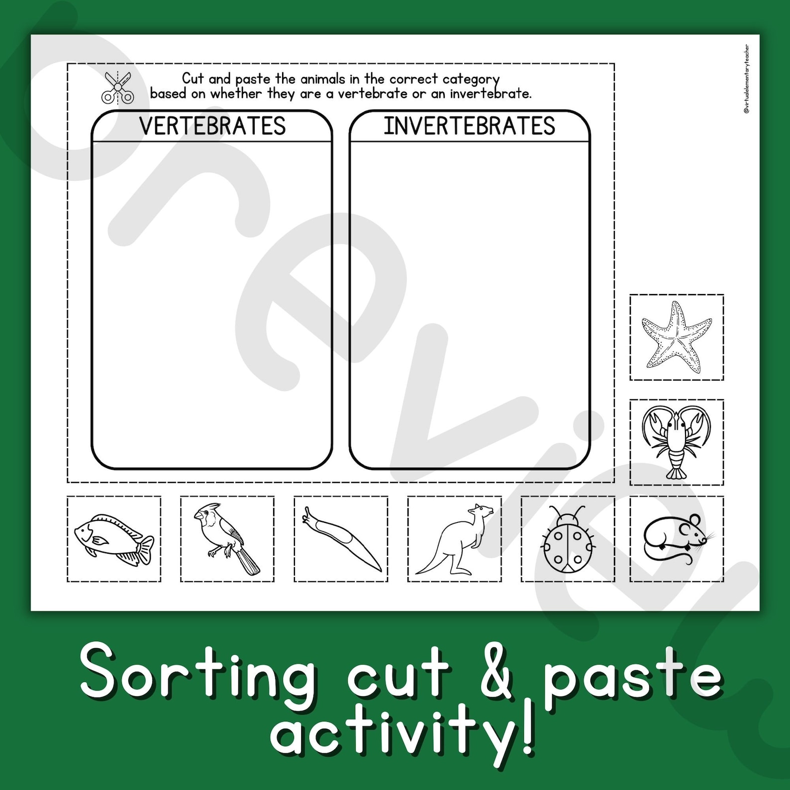 Vertebrate and Invertebrate Interactive Notebook Pages Animal ...