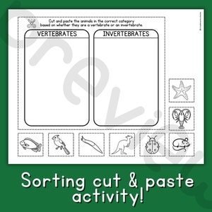 Vertebrate & Invertebrate Interactive Notebook Pages (PDF) - Etsy