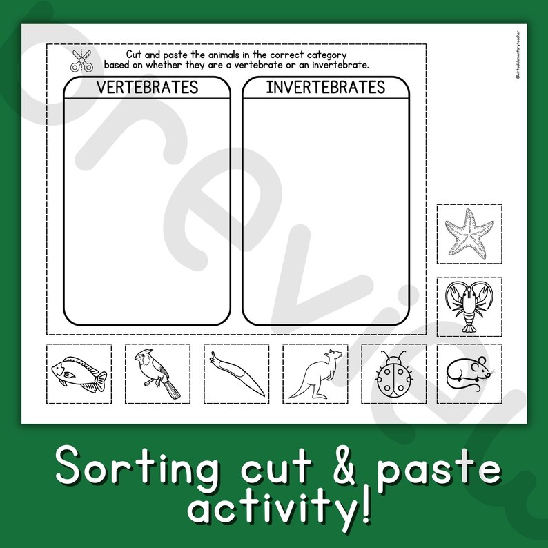 Vertebrate and Invertebrate Interactive Notebook Pages Animal ...