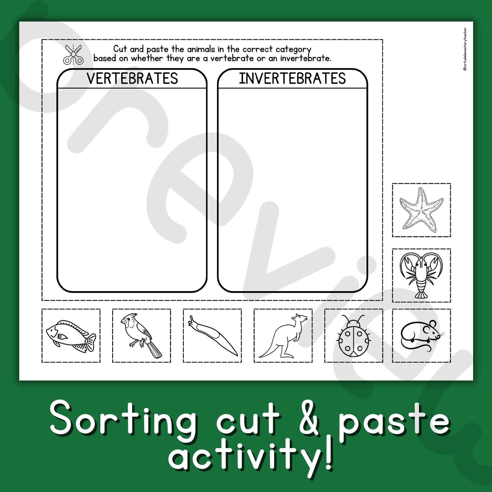 Vertebrate and Invertebrate Interactive Notebook Pages Animal ...