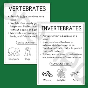 Vertebrate and Invertebrate Interactive Notebook Pages Animal ...