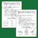 Vertebrate and Invertebrate Interactive Notebook Pages Animal ...