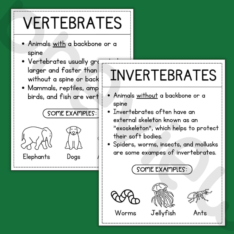 Vertebrate and Invertebrate Interactive Notebook Pages Animal ...