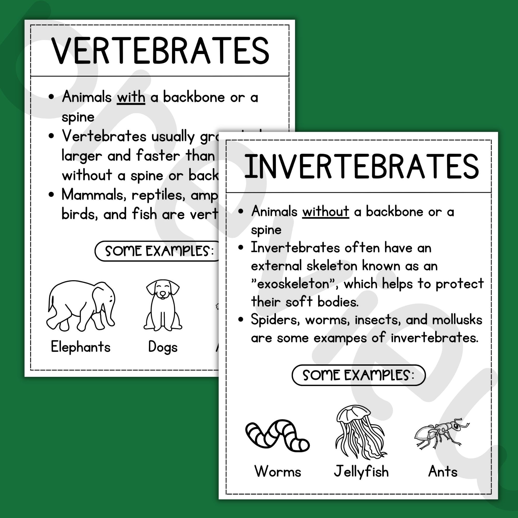 Vertebrate and Invertebrate Interactive Notebook Pages Animal ...