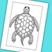 Ocean Animal Coloring Pages | 20 Sea Life Designs (digital Download) - Etsy