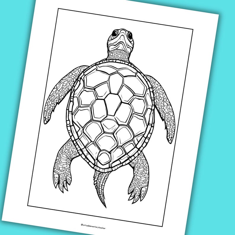 Ocean Animal Coloring Pages | 20 Sea Life Designs (digital Download) - Etsy