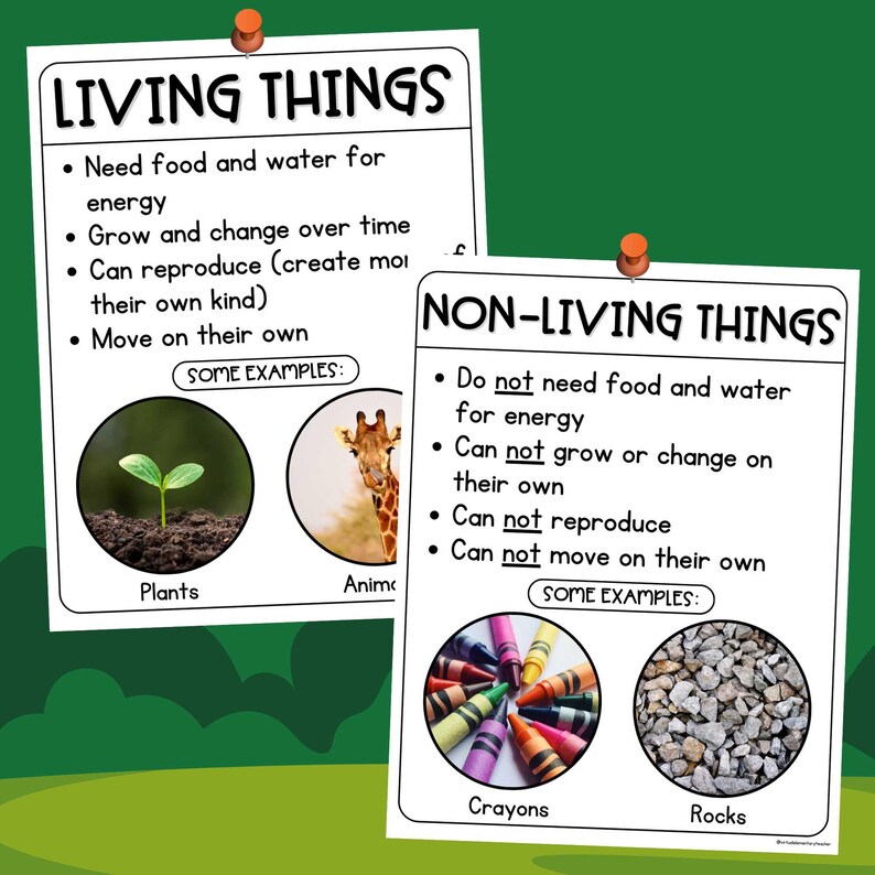 Living Vs Non-living Things Worksheets | Science Mini Book for Kids ...