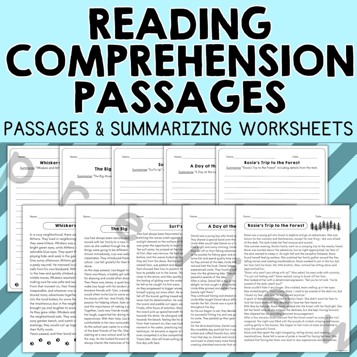 Reading Comprehension Passages Summarizing Reading - Etsy
