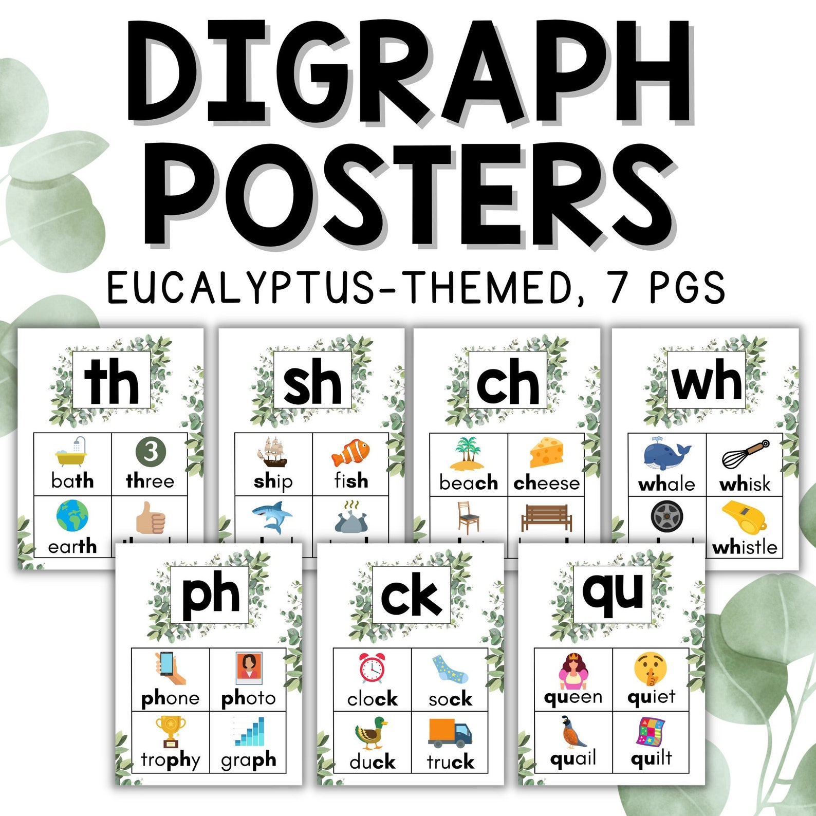 Digraph Flashcard Posters Eucalyptus Digraph Printables Educational ...