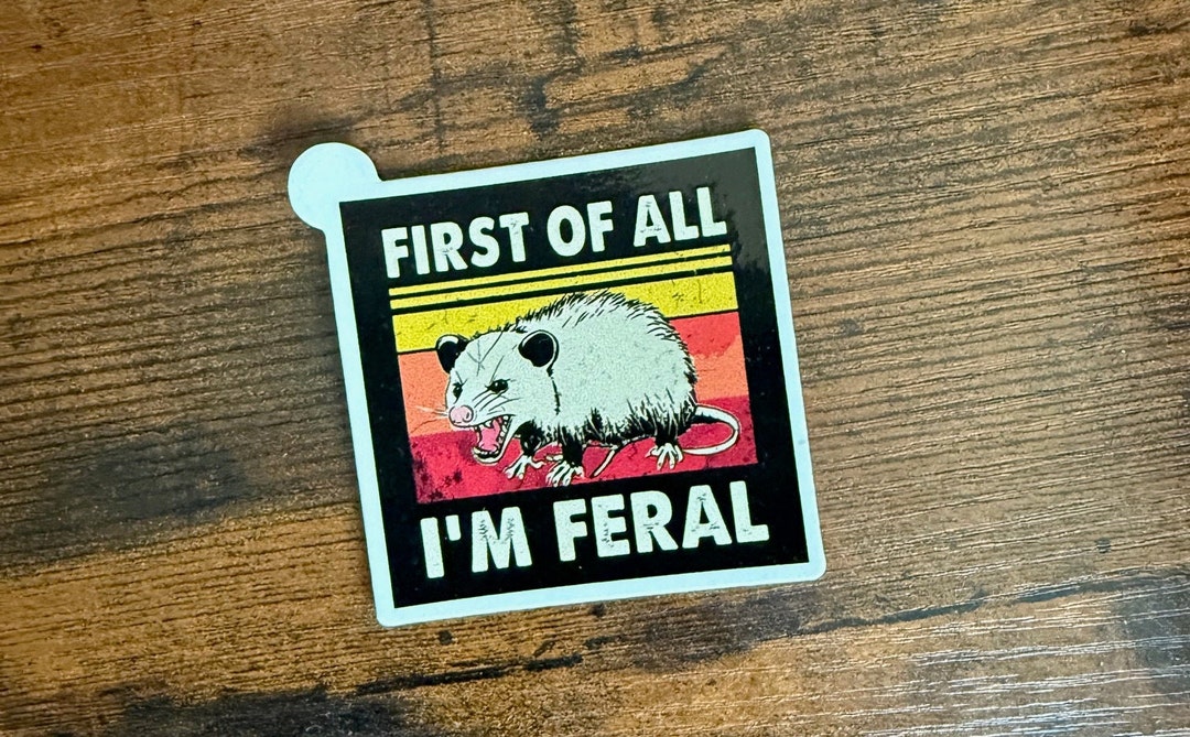 First of All, I’m Feral Sticker | Funny Opossum Vinyl Sticker | Quirky ...