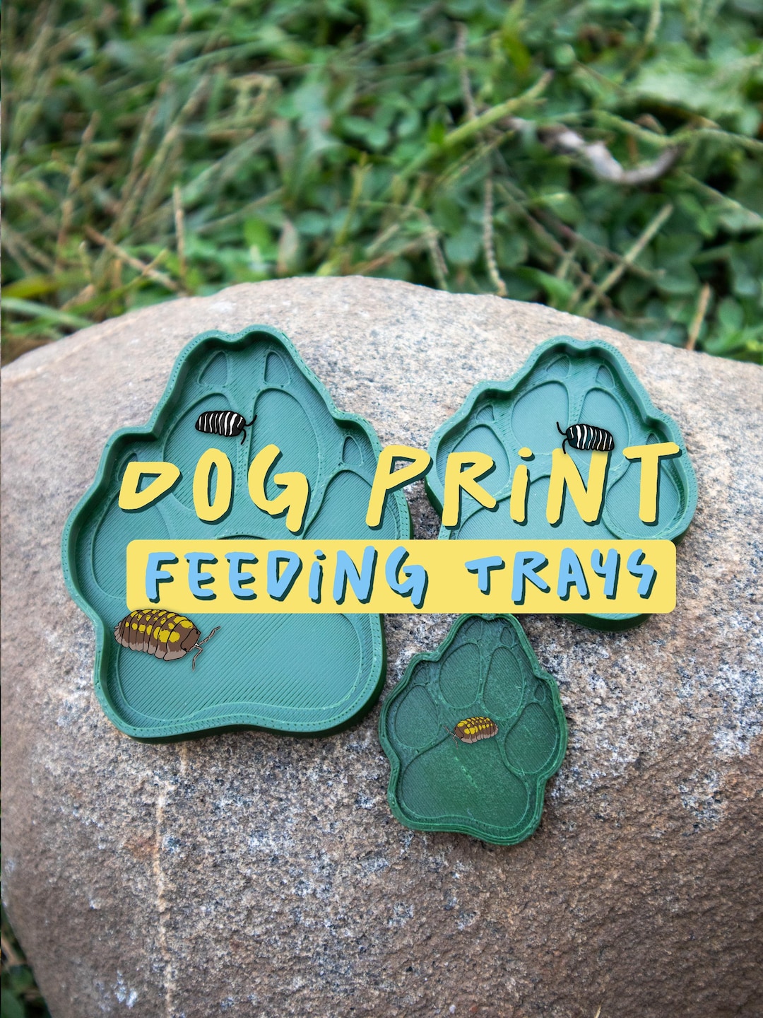 Dog Paw Print Isopod Feeding Trays Nature Inspired for Insects & Small ...