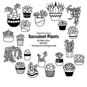 Hand-drawn Cute Potted Succulent Clipart, 20 Black Line PNG Files - Etsy