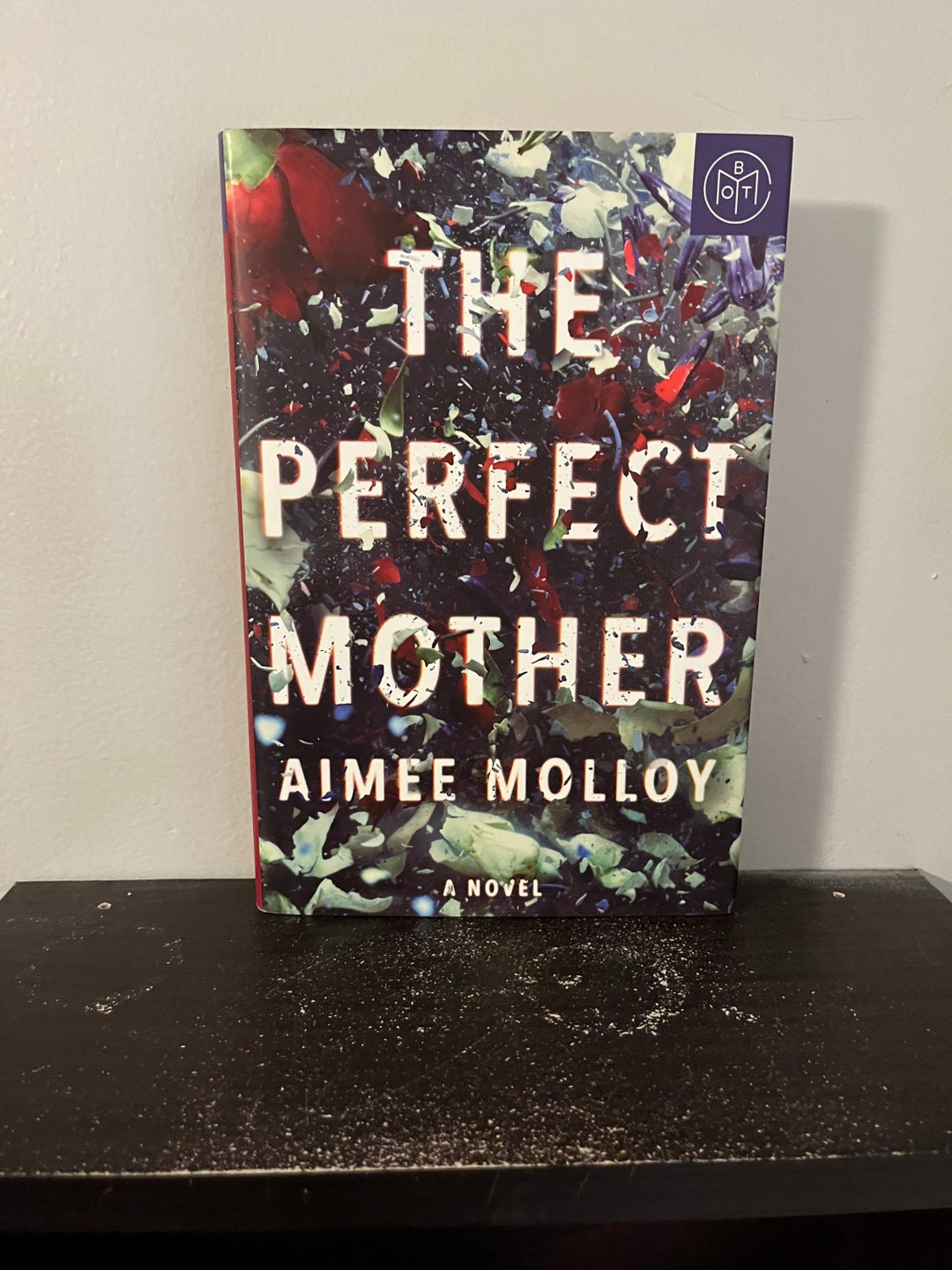 The Perfect Mother by Aimee Molloy hardcover, BCE - Etsy