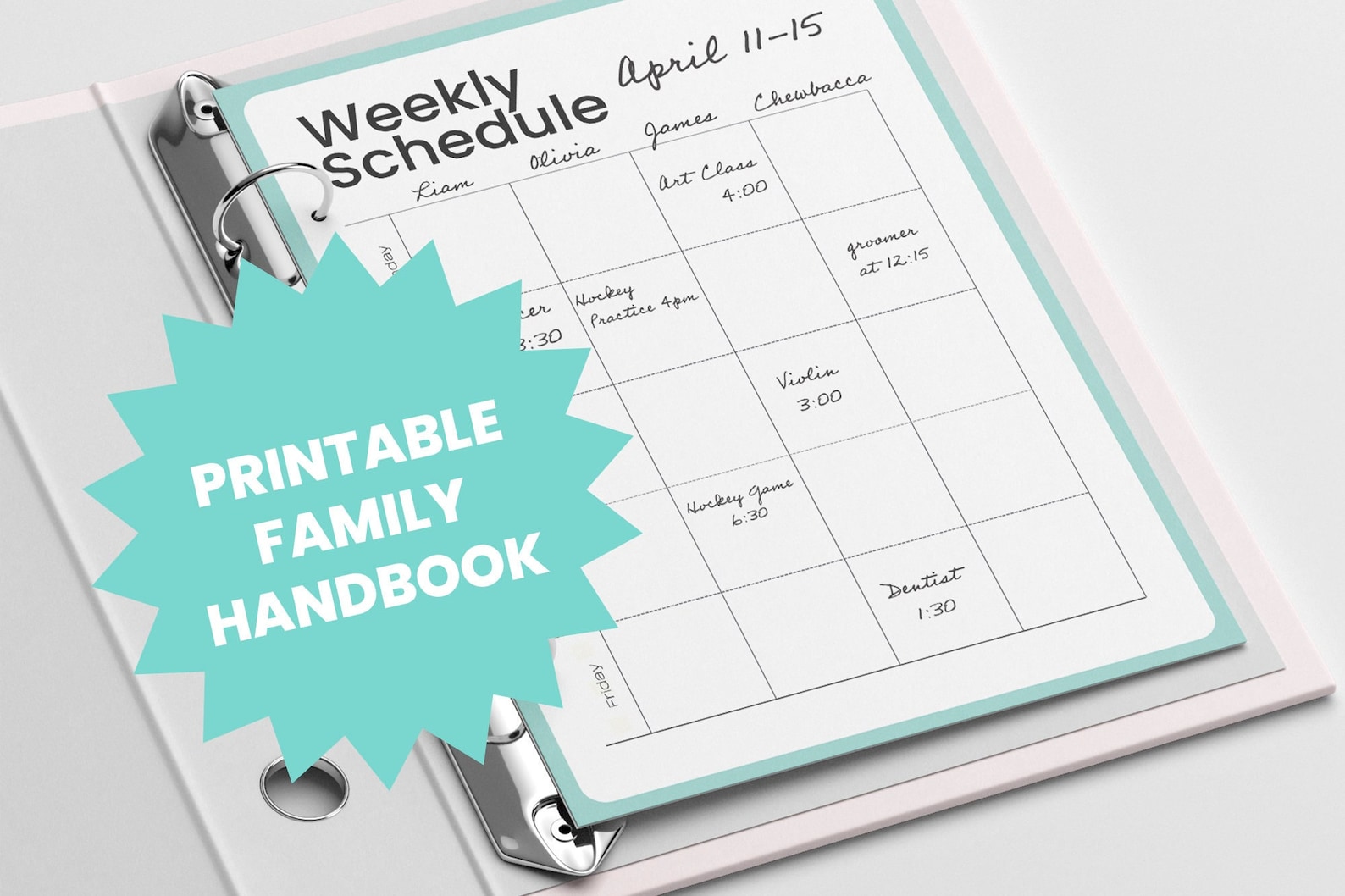 Family Handbook Printable PDF ~ Nanny Binder ~ Babysitter Information ...
