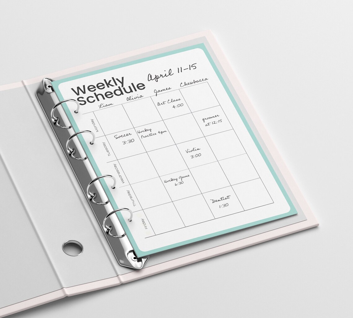 Family Handbook Printable PDF ~ Nanny Binder ~ Babysitter Information ...