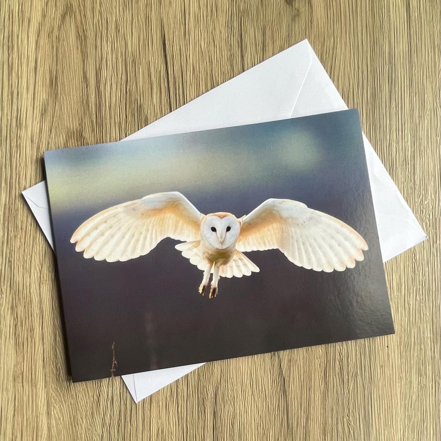 Barn Owl Greeting Card – Wildlife Photography | Flying Owl Photo Card ...