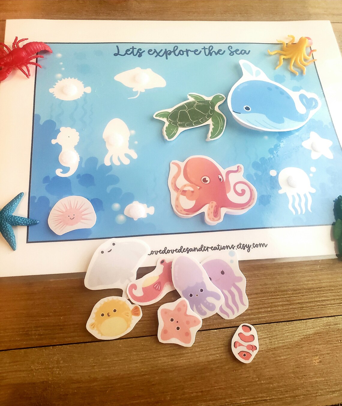 Ocean Animal Busy Book, Ocean Animal Matching Activity, Ocean Animal ...