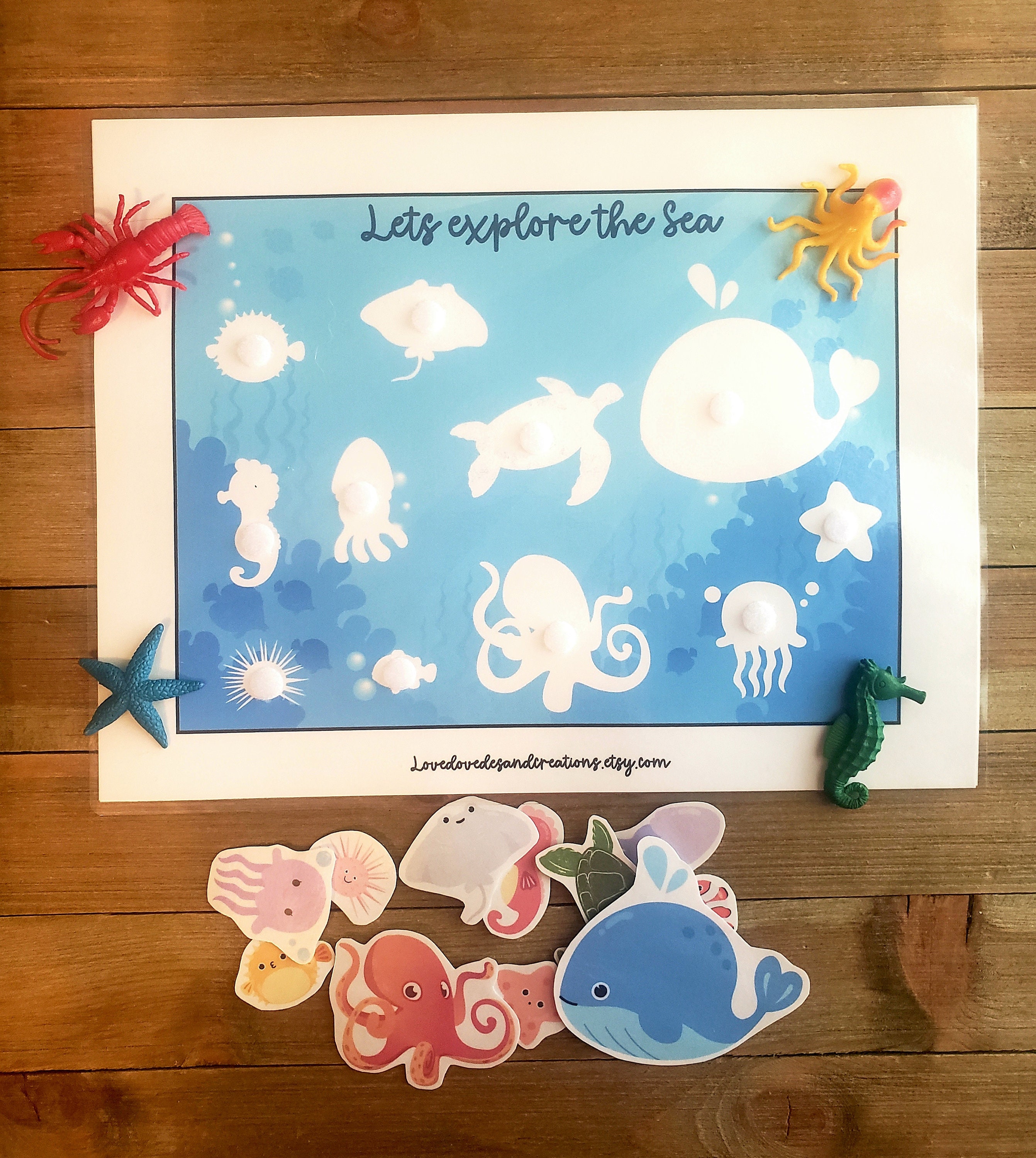 Ocean Animal Busy Book, Ocean Animal Matching Activity, Ocean Animal ...