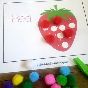 FINE MOTOR POM Pom Color Sorting Activityprinted&shipped Fruit,color ...