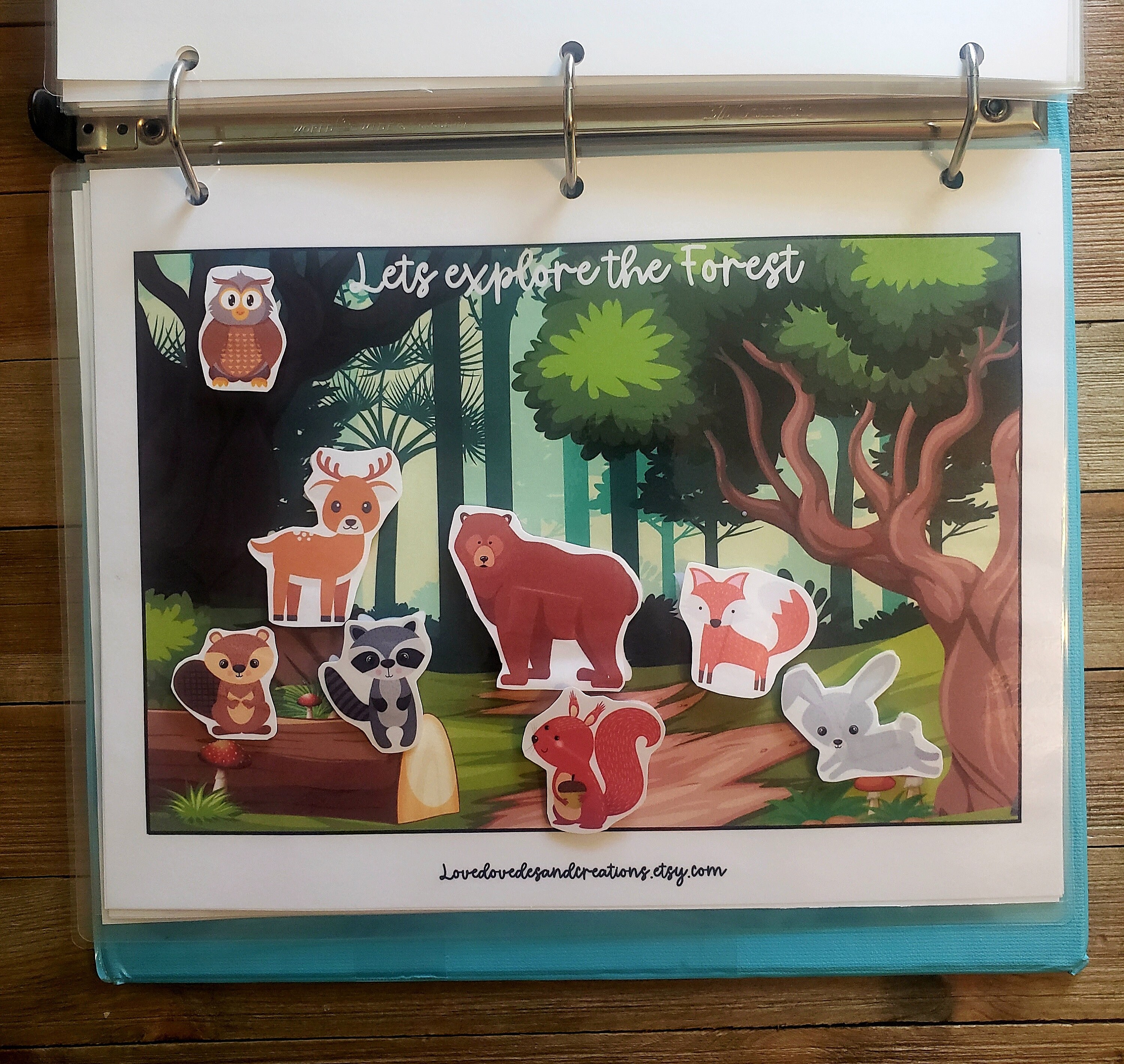 Forest Animals Busy Book, Forest Animal Matching Activity, Forest ...