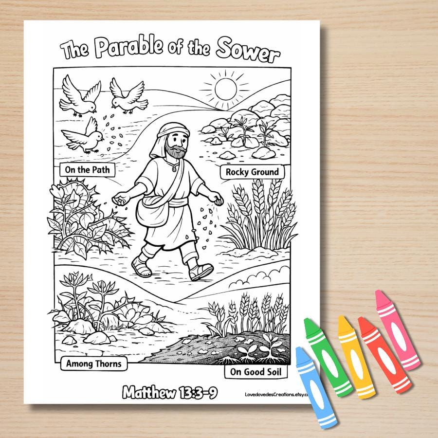 Parable of the Sower Bible Verse Coloring Page Craft: Sunday School ...