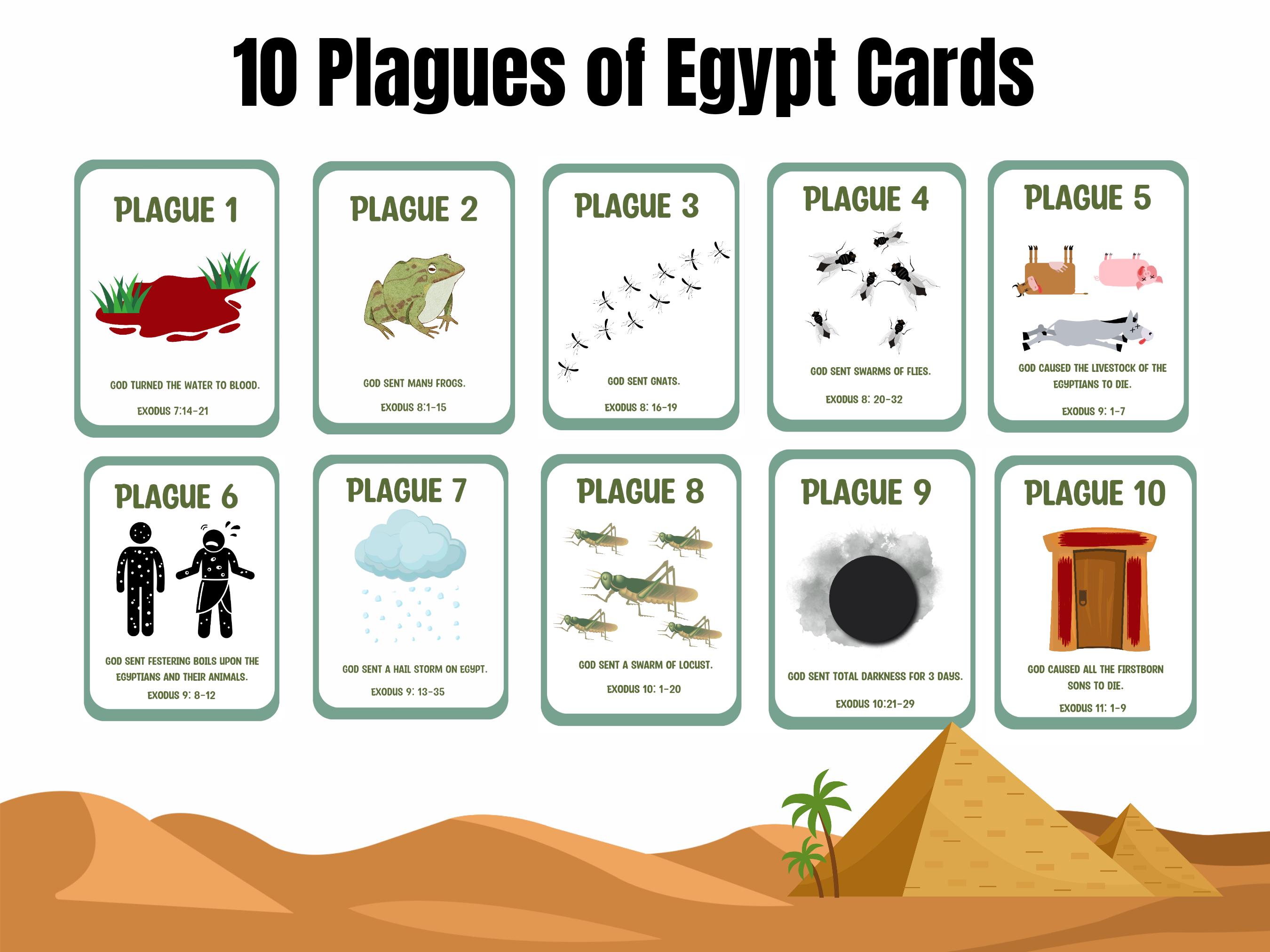 The 10 plagues in the bible store