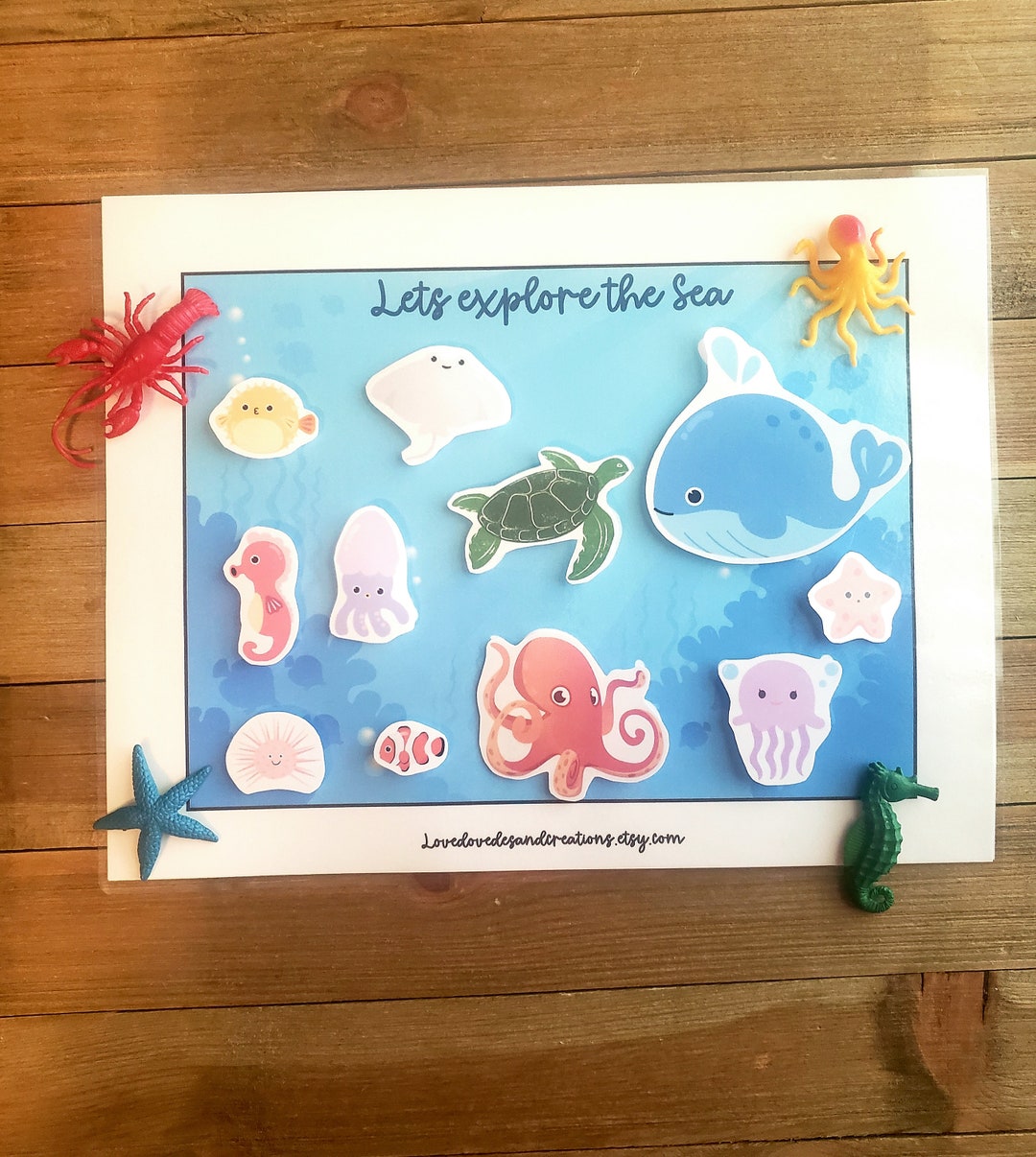 Ocean Animal Busy Book, Ocean Animal Matching Activity, Ocean Animal ...