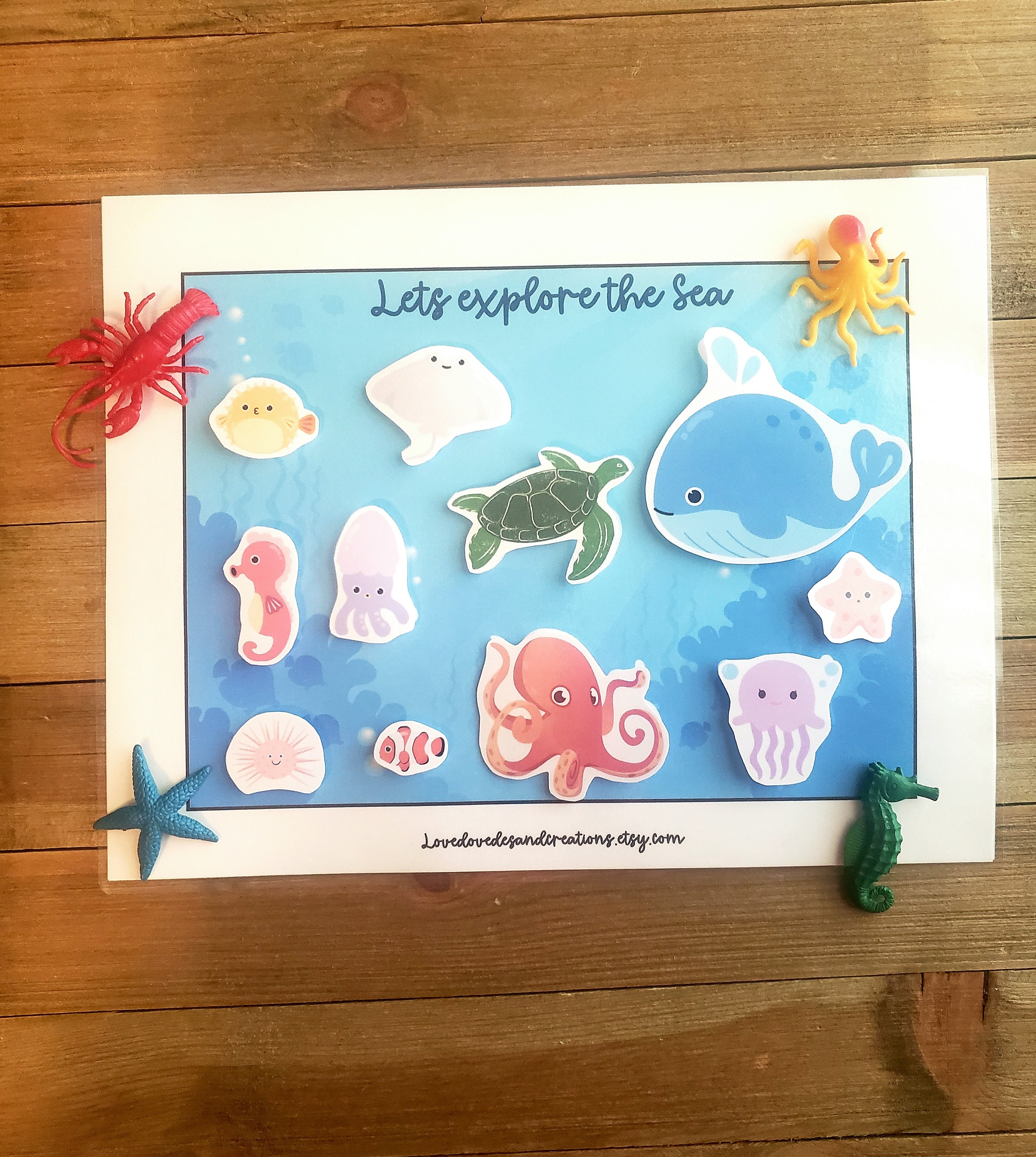 Ocean Animal Busy Book, Ocean Animal Matching Activity, Ocean Animal ...