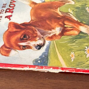 1929 Antique Childrens Book noodles Wants to Be a Rover Story by Edna ...