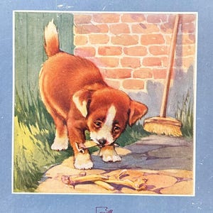 1929 Antique Childrens Book noodles Wants to Be a Rover Story by Edna ...