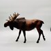 Vintage Breyer Molding Co Bull Moose Model 70 Dark Brown 1969-1980 ...