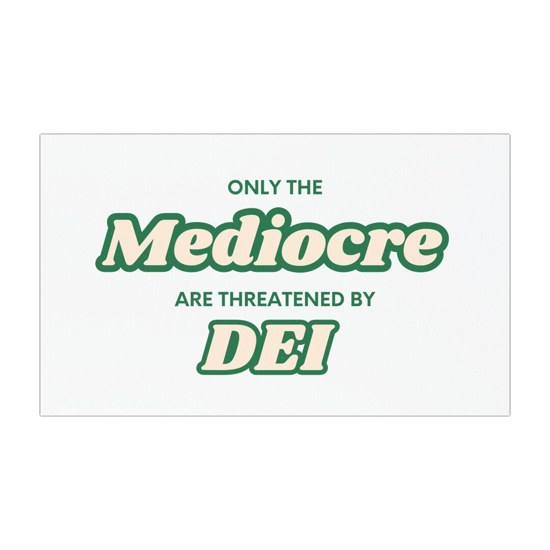 Car Magnets, DEI Bumper Sticker for Social Justice Advocates, Inclusive ...