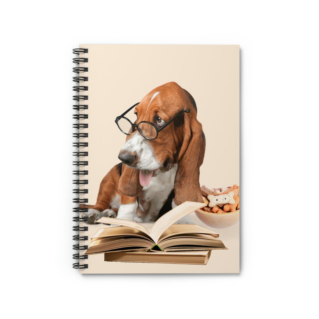 Basset Hound Spiral Notebook Ruled Line, Dog, Dog Gift, School, Study ...
