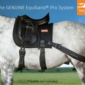 Complete Equiband® Pro System - Etsy