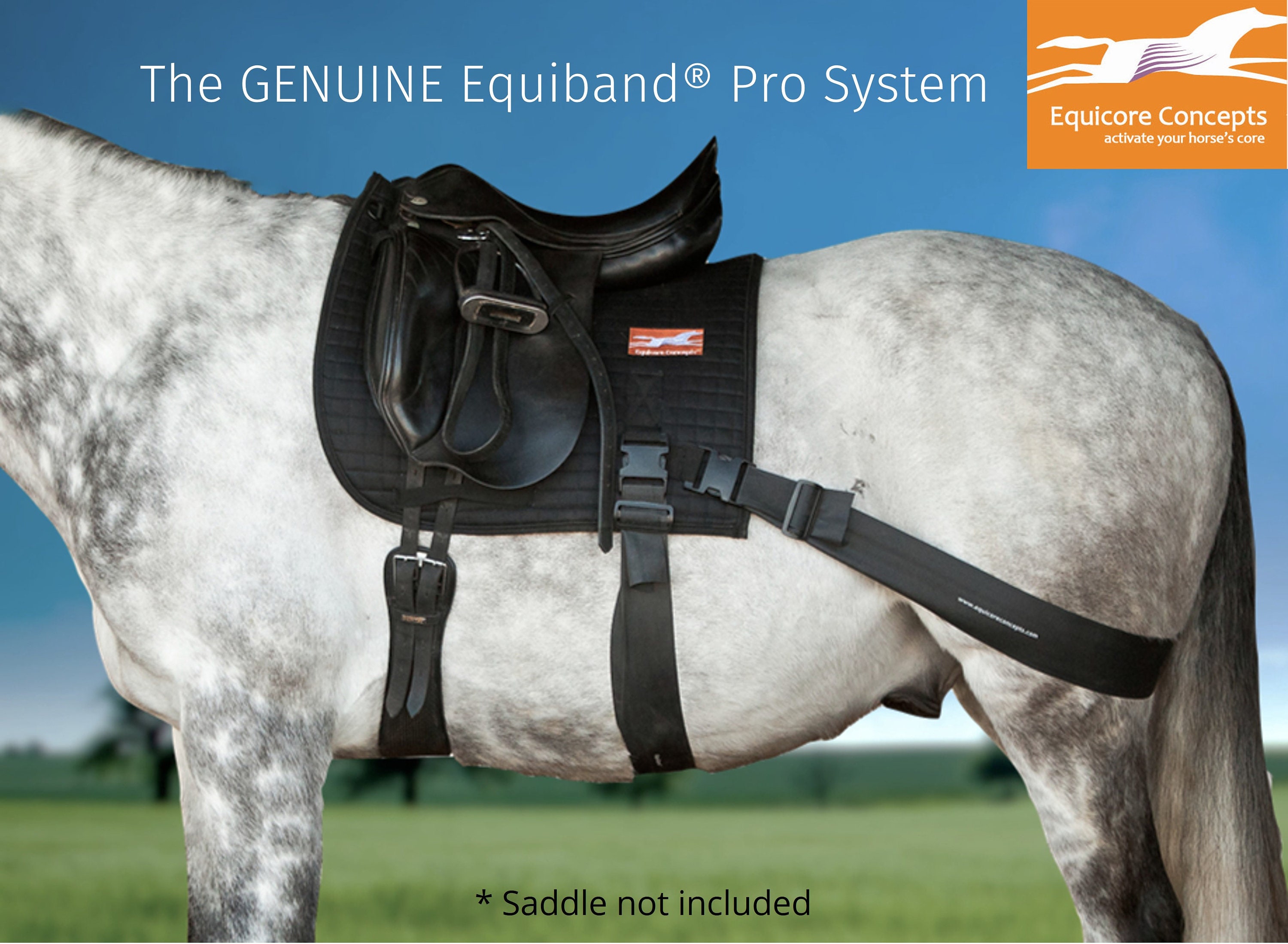 Complete Equiband® Pro System - Etsy