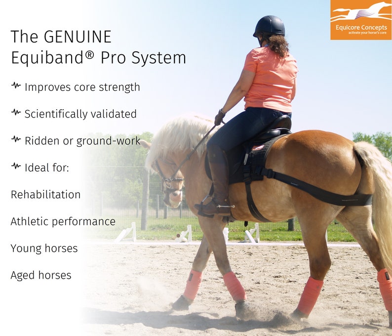 Complete Equiband® Pro System - Etsy