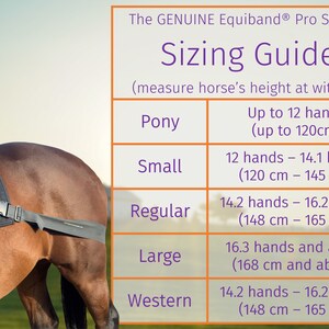 Complete Equiband® Pro System - Etsy