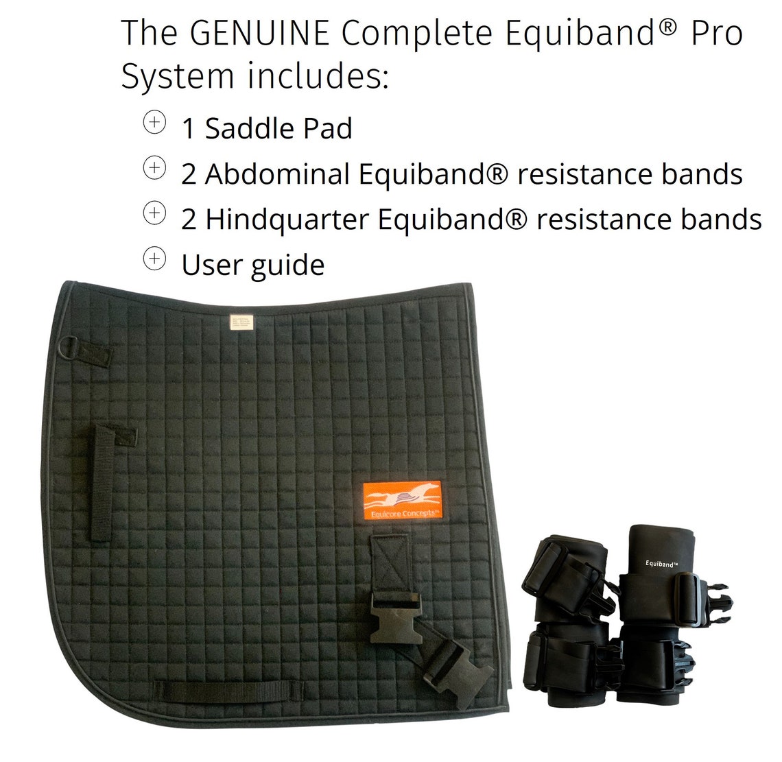 Complete Equiband® Pro System - Etsy