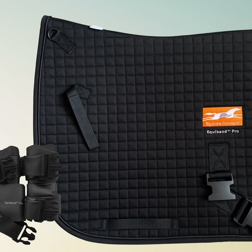 Complete Equiband® Pro System - Etsy