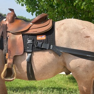 Complete Equiband® Pro System - Etsy Australia