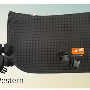Complete Equiband® Pro System - Etsy