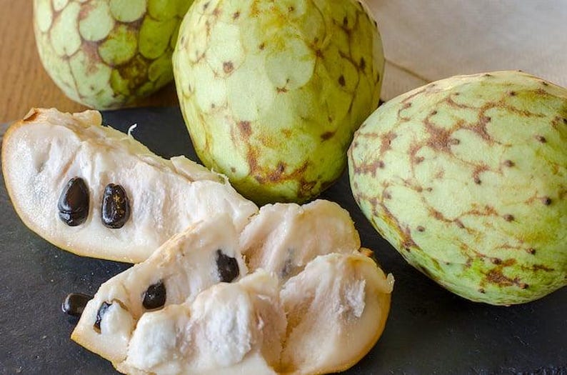 Cherimoya - Etsy