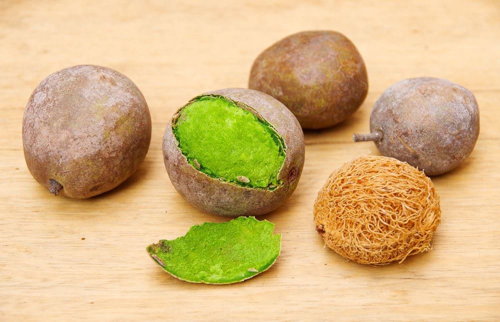 Detarium Senegalese - Etsy