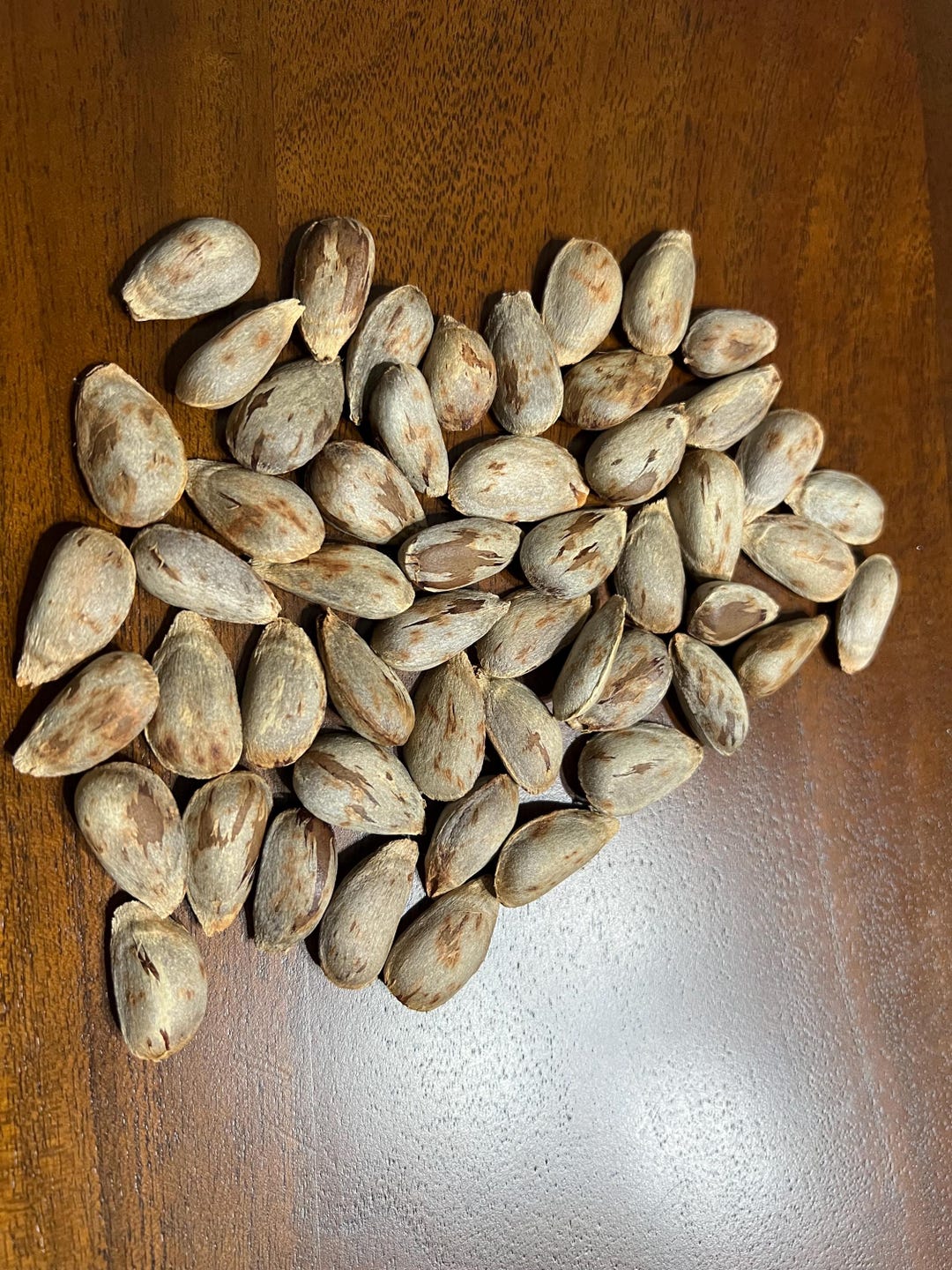 Annona Purpurea Seeds: Soncoya Fruit - Etsy