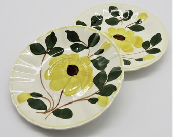 Blue Ridge Pottery - Etsy