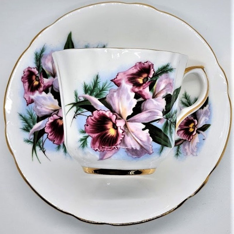 Bone China Pattern - Etsy