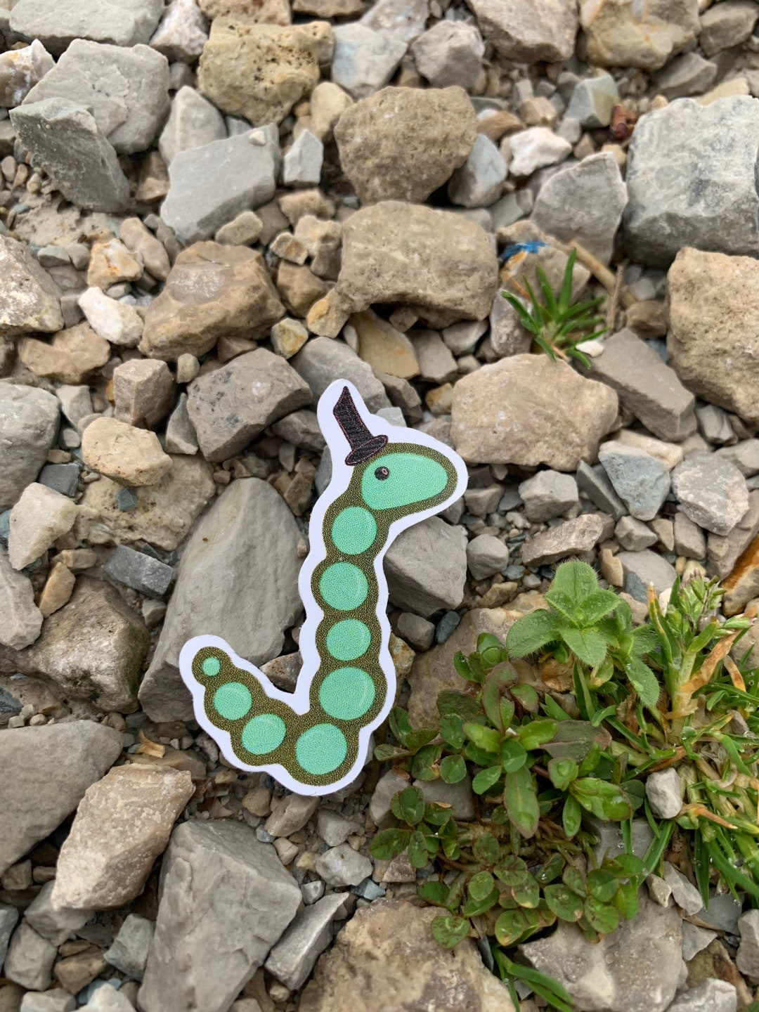 Worm Sticker - Etsy